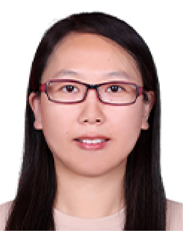 IEEE OGC 2026